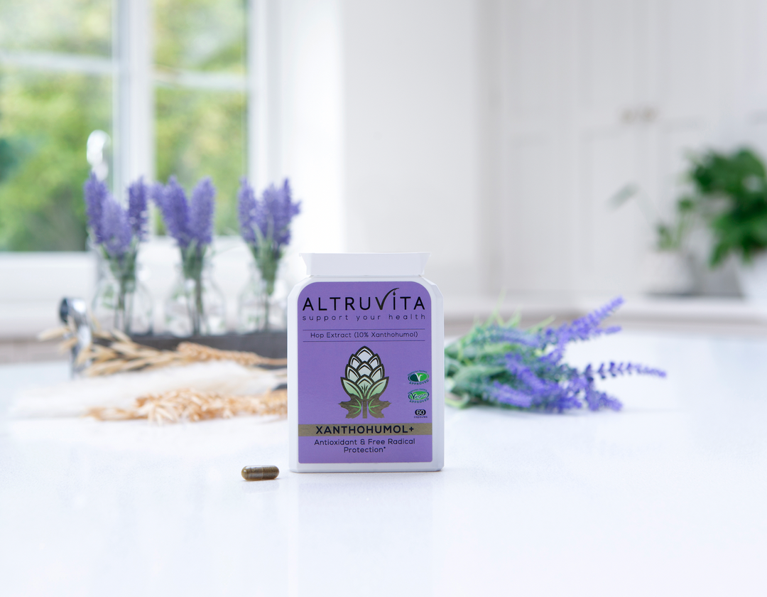 What is Xanthohumol Extract? – altruvita